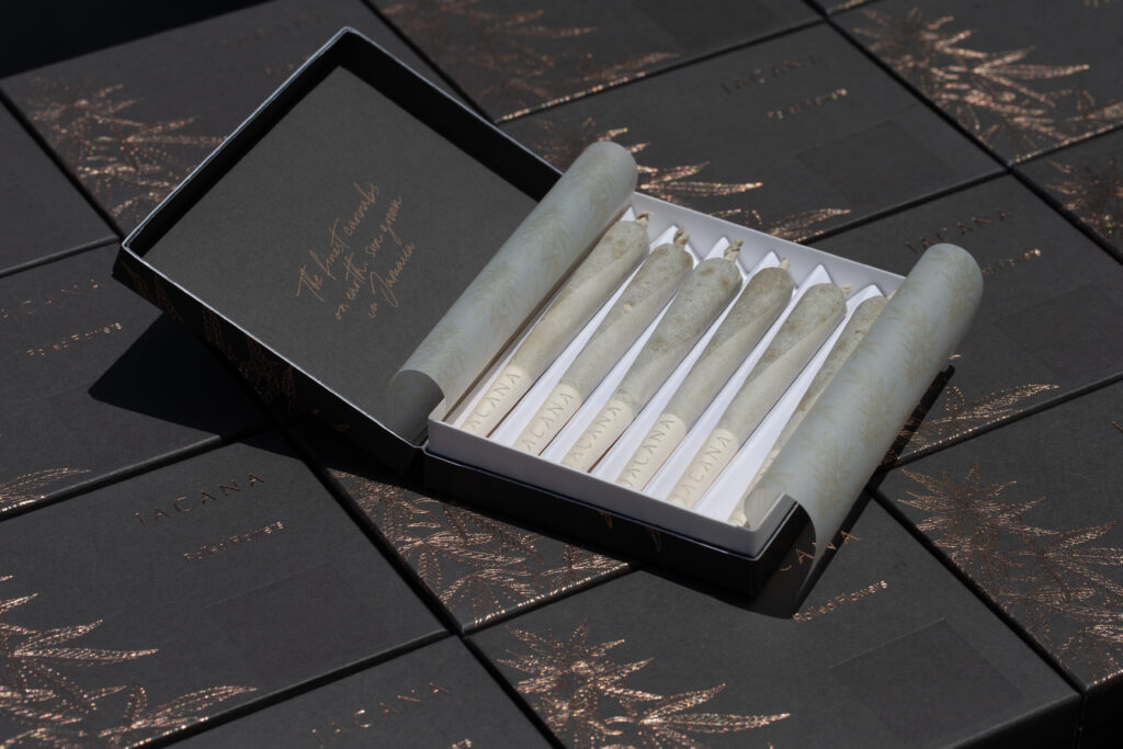 Venom OG Six Pack | Jacana Life